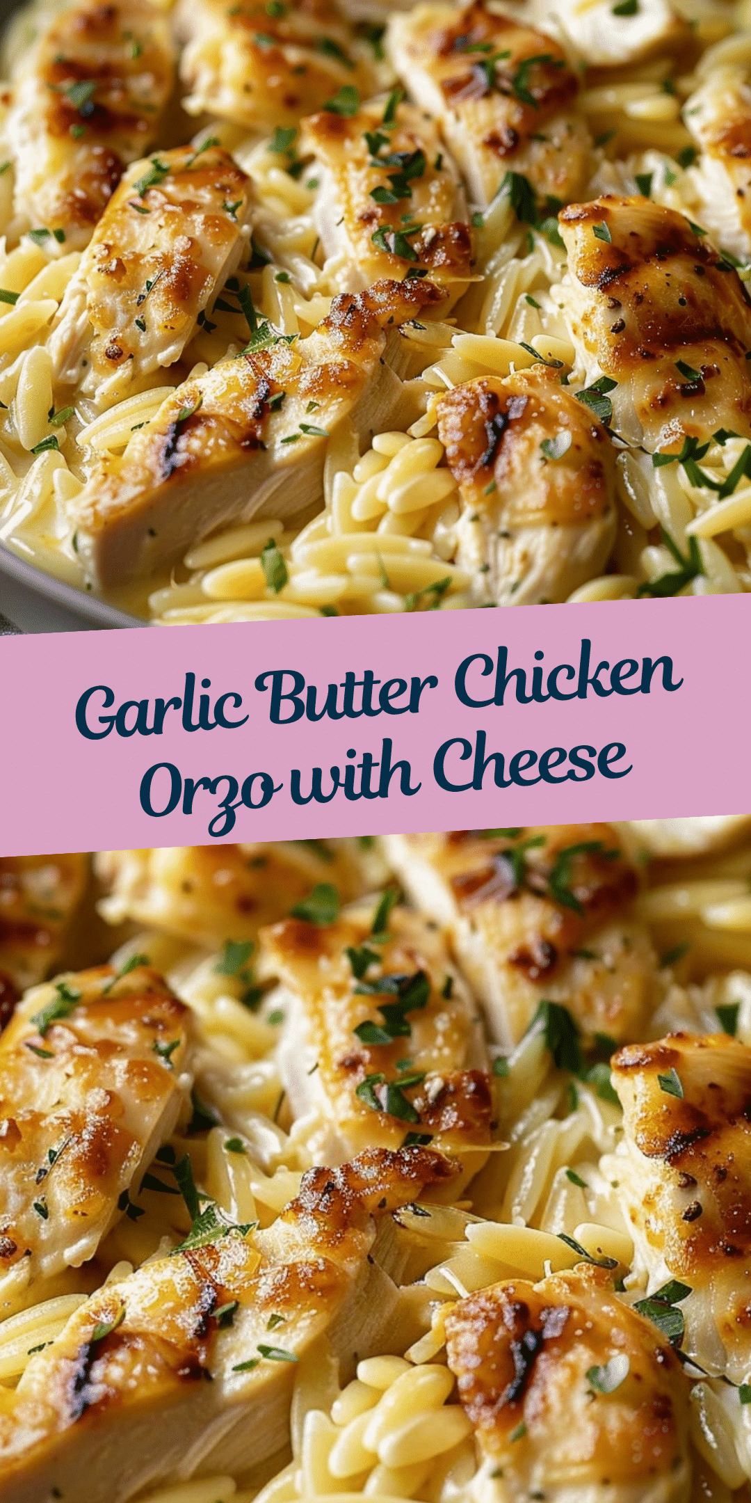 Garlic Butter Chicken Orzo with Cheese | Bitezly